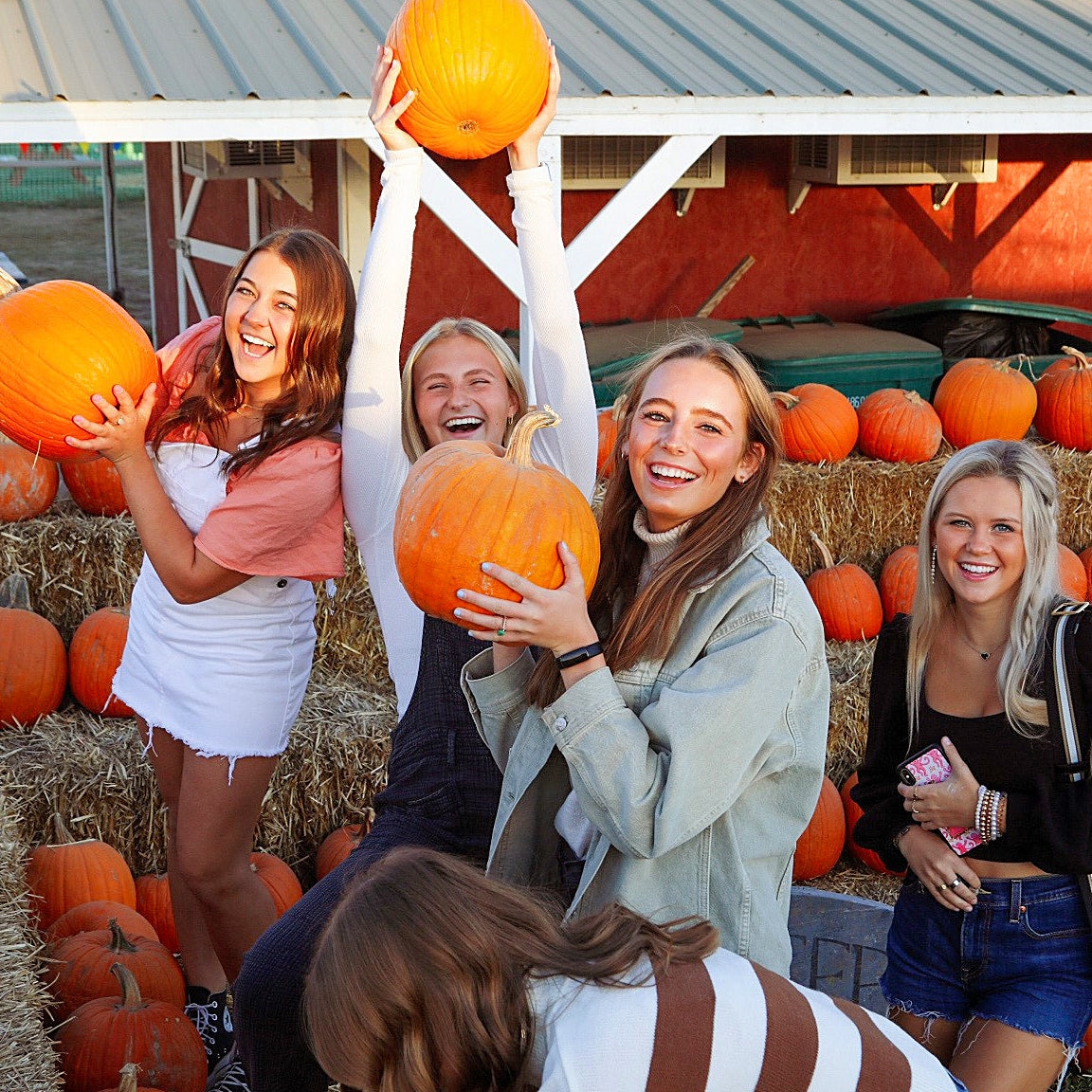 Wilkerson Farm | Seasonal Carnival