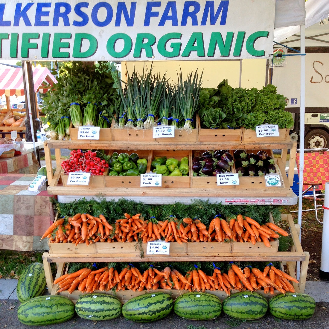 Wilkerson Farm | Fall Carnival & Corn Maze