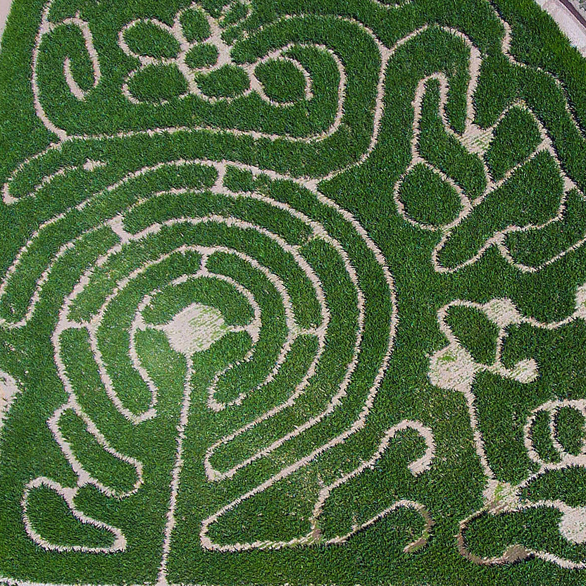 Wilkerson Farm | Seasonal Carnival